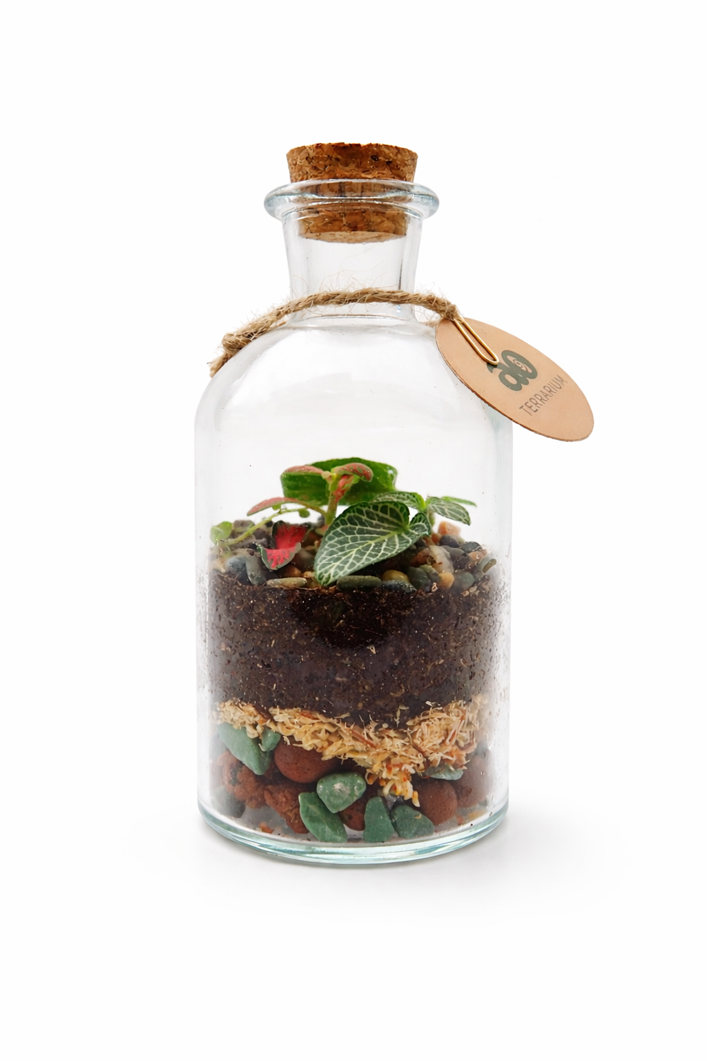 Botanist 250ml – ao terrarium